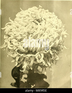 'Garden and Forest' (1896) covers topics related to horticulture ...