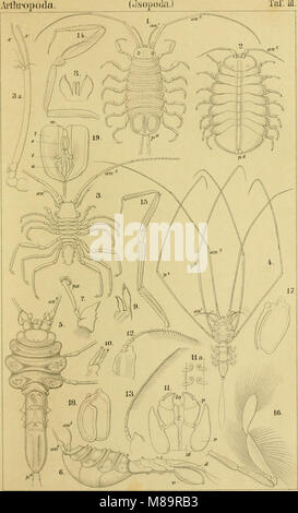 This 1866 work, 'Die Klassen und Ordnungen der Arthropoden', provides a ...