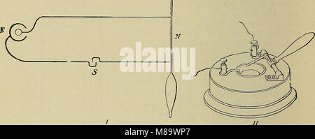 'General Physiology' (1899) provides an overview of the science of life ...