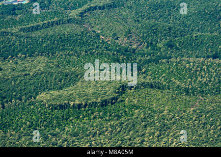 Aerial image of forests covering the volcanic zone of Colli Albani ...