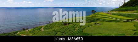 Wajima, Japan at Shiroyone Senmaida rice terraces during a winter light ...