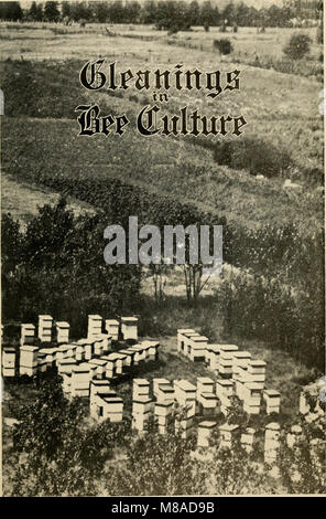 'Gleanings in Bee Culture' (1916) is a detailed guide on beekeeping ...