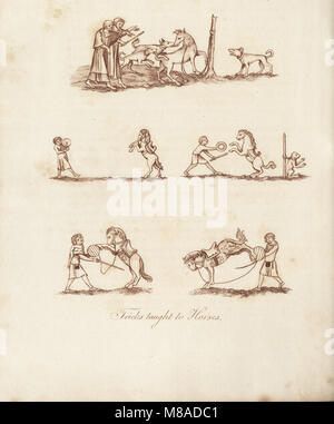 This work explores the traditional sports and pastimes of England ...
