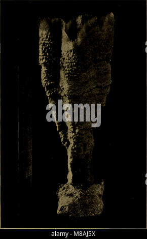 The *Guide Leaflet* (1901) provides information and instructions on ...