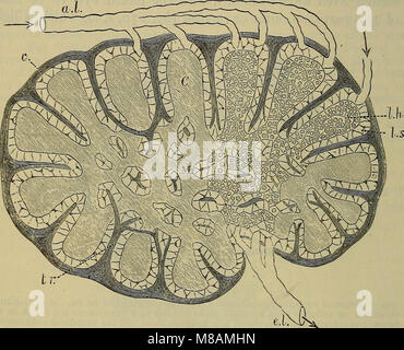 A comprehensive guide to anatomy and physiology, detailing the ...