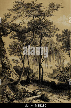 A 1859 work on plant geography, presenting a popular overview of the ...