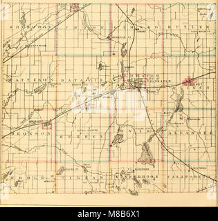 This 1879 history of Branch County, Michigan includes biographies and ...