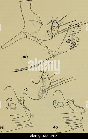 An illustrated handbook on the fauna of Denmark, featuring detailed ...