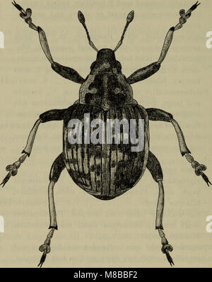 This illustrated guide to the fauna of Denmark includes detailed ...