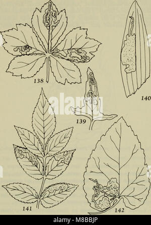 This Danish work on the fauna of Denmark offers an illustrated guide to ...