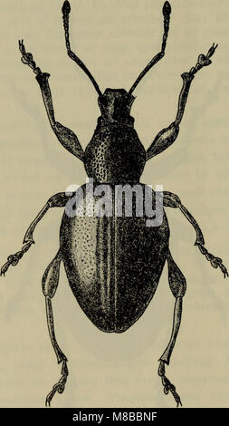 This 1907 illustrated guide to the fauna of Denmark provides ...