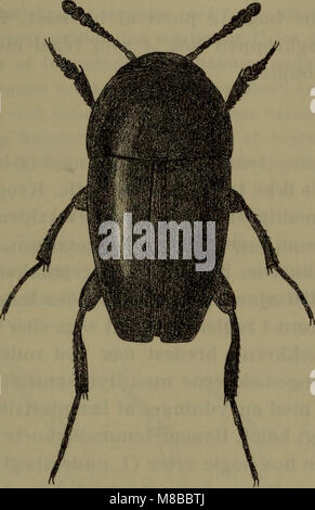 This guide provides an illustrated description of Denmark's fauna ...