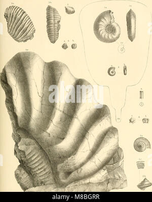 This 1885 publication from the Imperial Academy of Sciences presents ...