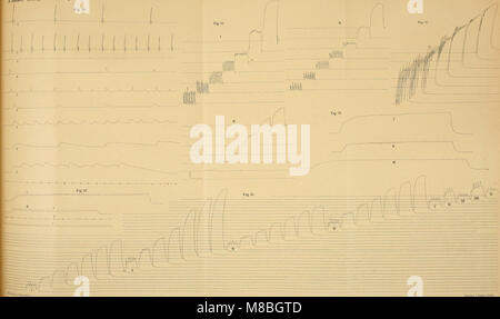 This scholarly work published by the Imperial Academy of Sciences ...