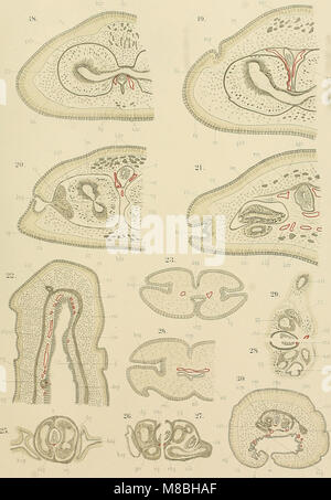 This scholarly journal from the Medical and Natural Science Society of ...