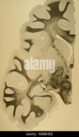 This work from the Medicinisch-Naturwissenschaftlichen Gesellschaft ...