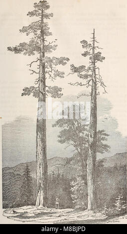 Der Baum (1860) is a detailed work on trees, providing insights into ...
