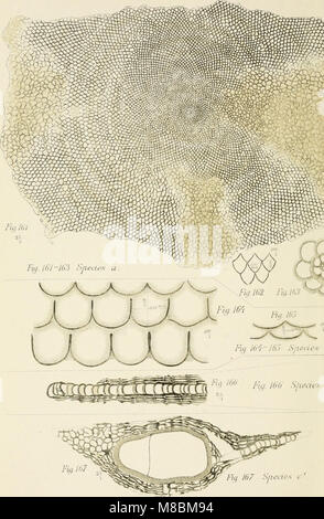 This geological description of Java and Madura provides detailed ...