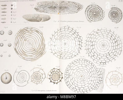 A geological description of Java and Madura, focusing on the volcanic ...