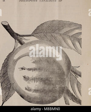 This catalog provides detailed descriptions of fruit and ornamental ...