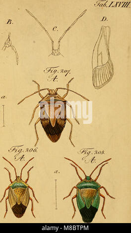 This work focuses on insect pests that affect fruit crops, with ...