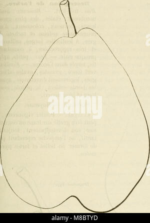 This dictionary of pomology provides historical and descriptive ...