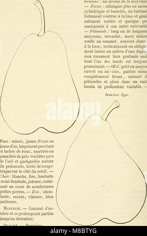 A comprehensive dictionary of pomology, describing the history ...