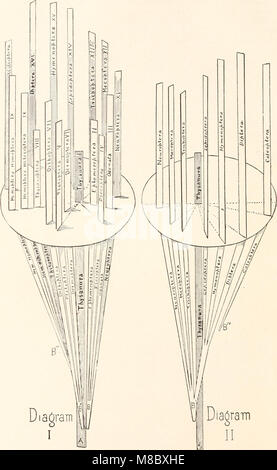 A guide to preserving insect specimens for nature study, with detailed ...