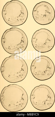 The 1940 Discovery Reports present scientific findings from ...