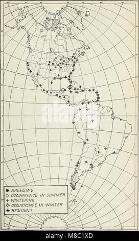 Distribution and migration of North American rails and their allies ...