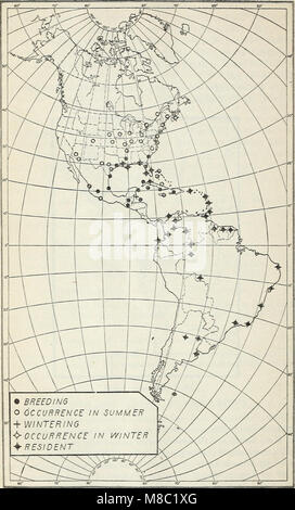 Distribution and migration of North American rails and their allies ...