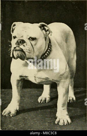 This comprehensive guide provides a history of the dog, including its ...