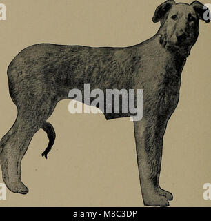 'Dogs of All Nations' (1903) is a literary work that combines prose and ...