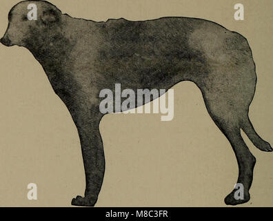 This 1903 work describes dog breeds from around the world in both prose ...