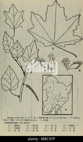 This 1955 Chinese text, 'Dong bei mu ben zhi wu tu zhi', provides a ...