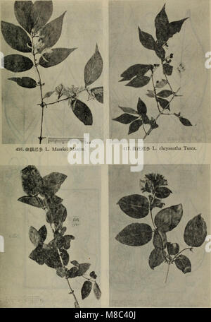 This 1955 Chinese text, 'Dong bei mu ben zhi wu tu zhi', provides a ...