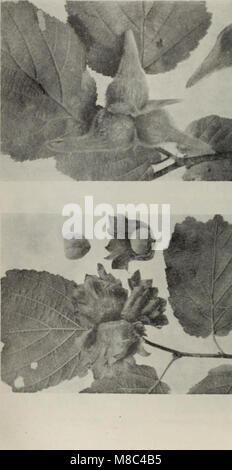 Dong bei zi yuan zhi wu shou ce (1958) (20968318846 Stock Photo - Alamy