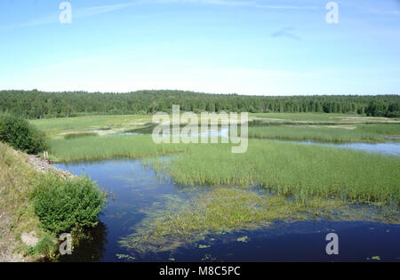 grassy river in Russia Stock Photo - Alamy
