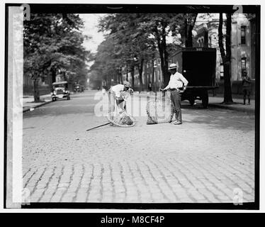 A photograph showing dog catchers in action, capturing stray dogs. This ...