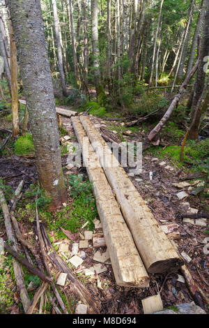 Trail puncheons (bog bridges) along the Lincoln Brook Trail in the ...