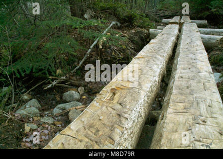 Puncheons (bog bridges) along the Lend A Hand Trail in the White ...