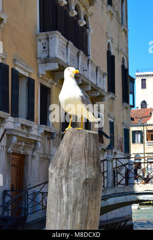 Details of Venetian architecture around a canal Stock Photo - Alamy