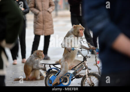 Xuancheng, China. 16th Mar, 2018. A monkey performs on the street in ...