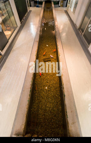 The Tyburn stream (which flows into the Thames) in the basement of Gray ...