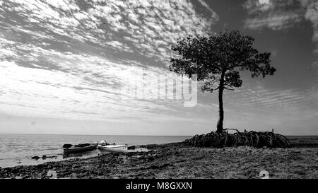 EVER near Jewel Key Stock Photo - Alamy