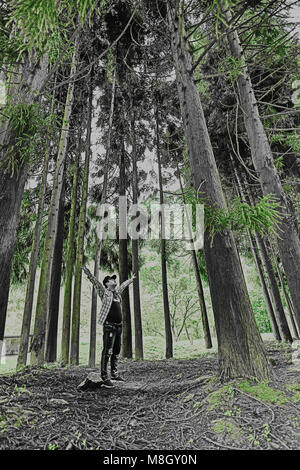 A man stands under the lush fir trees Stock Photo - Alamy