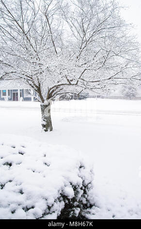 Northern Michigan Winter Snow Storm of 2022 Stock Photo - Alamy