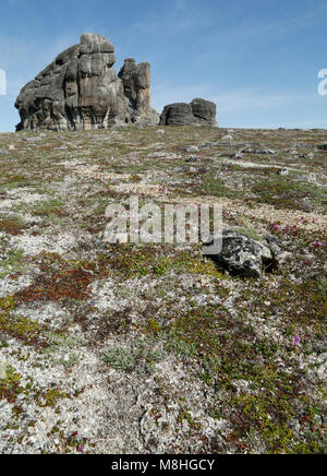 Tors near Serpentine Stock Photo - Alamy