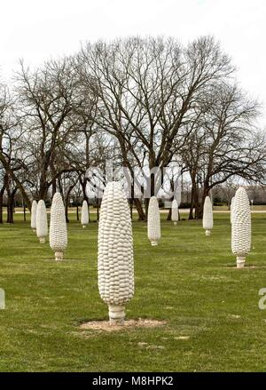 Dublin, Ohio, USA. 17th Mar, 2018. Field of Corn (With Osage Orange ...