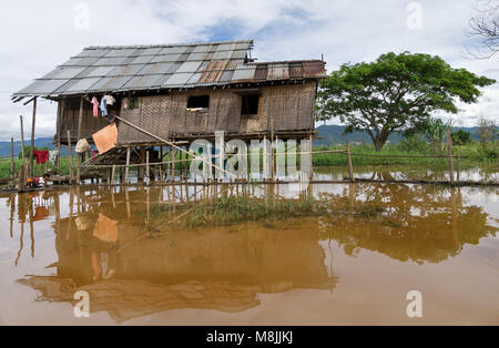Rice plantations on the Indonesian island of Bally Stock Photo - Alamy